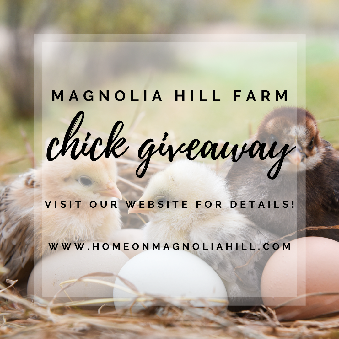 A Strong Step Toward Building Your Family's Homestead: 2022 Giveaway ...